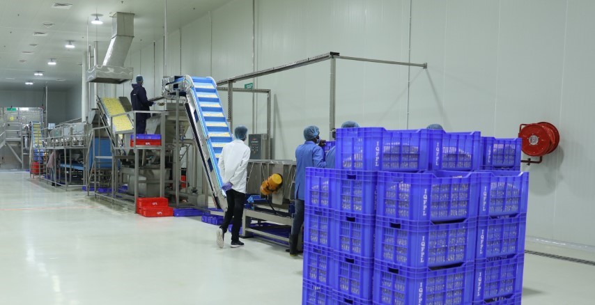Manufacturing Capabilities