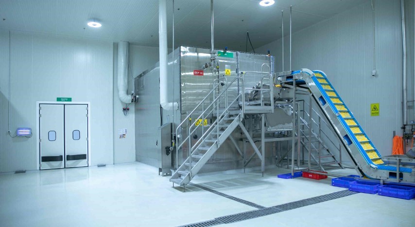 Manufacturing Capabilities